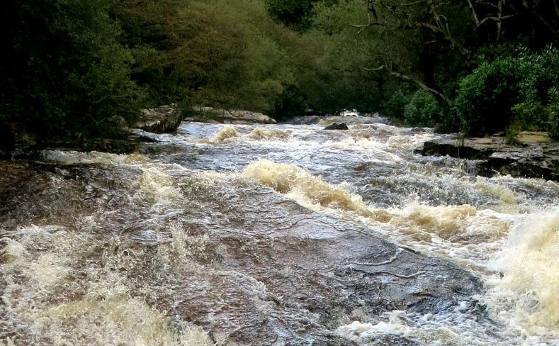 About Grief Tending workshops – Grief Tending in Community